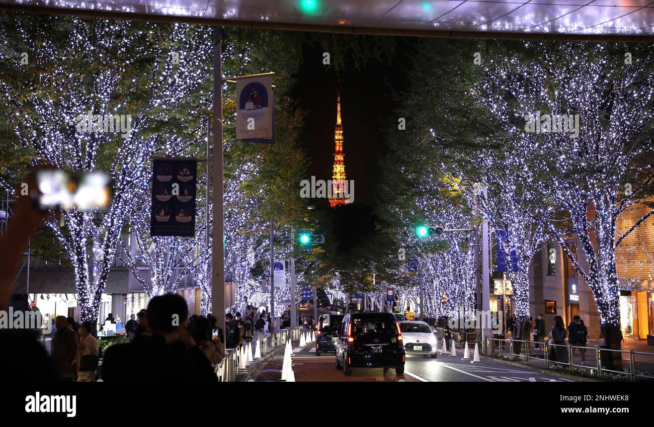 Trees are illuminated at Keyakizaka Slope in Minato ward, Tokyo on Nov ...