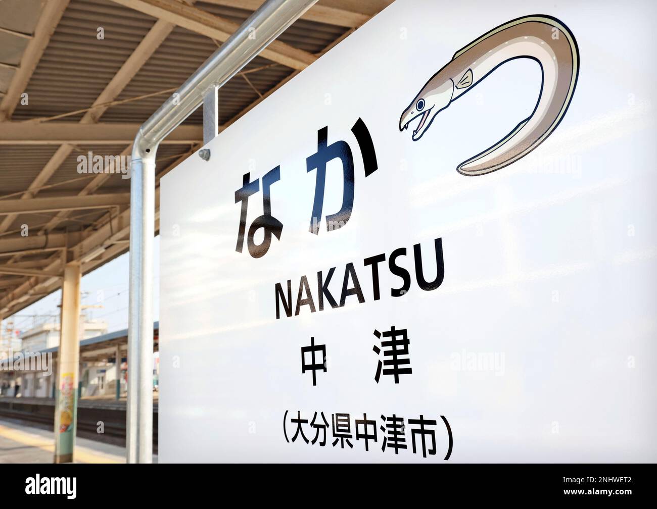 A station nameplate which is drawn daggertooth pike conger (Muraenesox ...