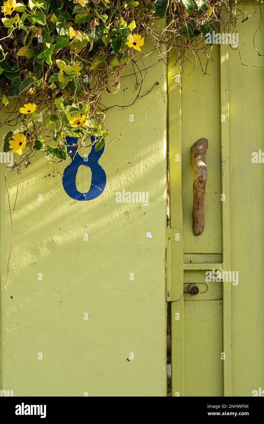 Blue number eight with flowers hanging over a yellow wall of a house in ...