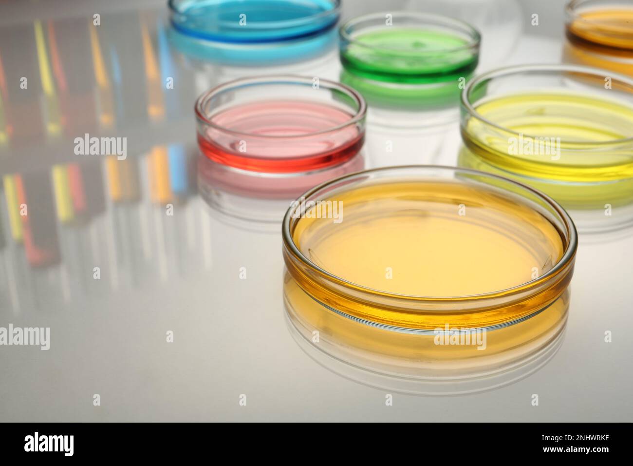 Petri dishes different samples hi-res stock photography and images - Alamy