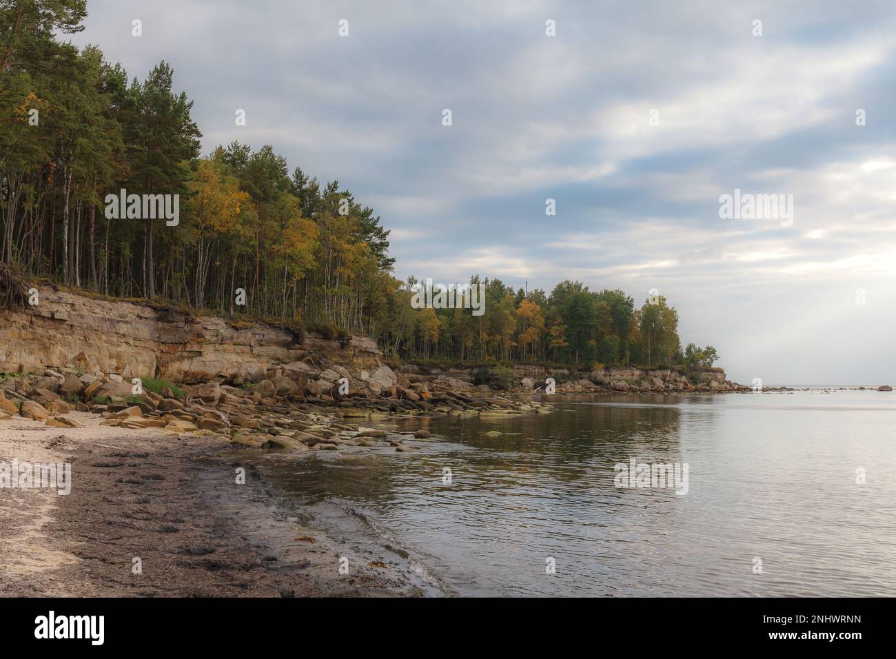 The Baltic Sea coast with forest on the top of cliff, moody weather ...