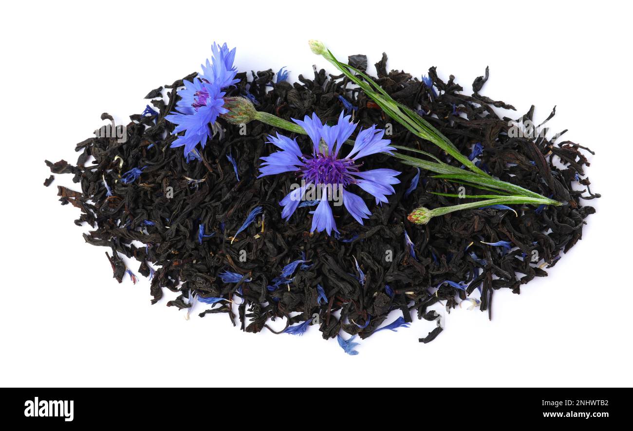 Dried cornflower tea and fresh flowers on white background Stock Photo ...