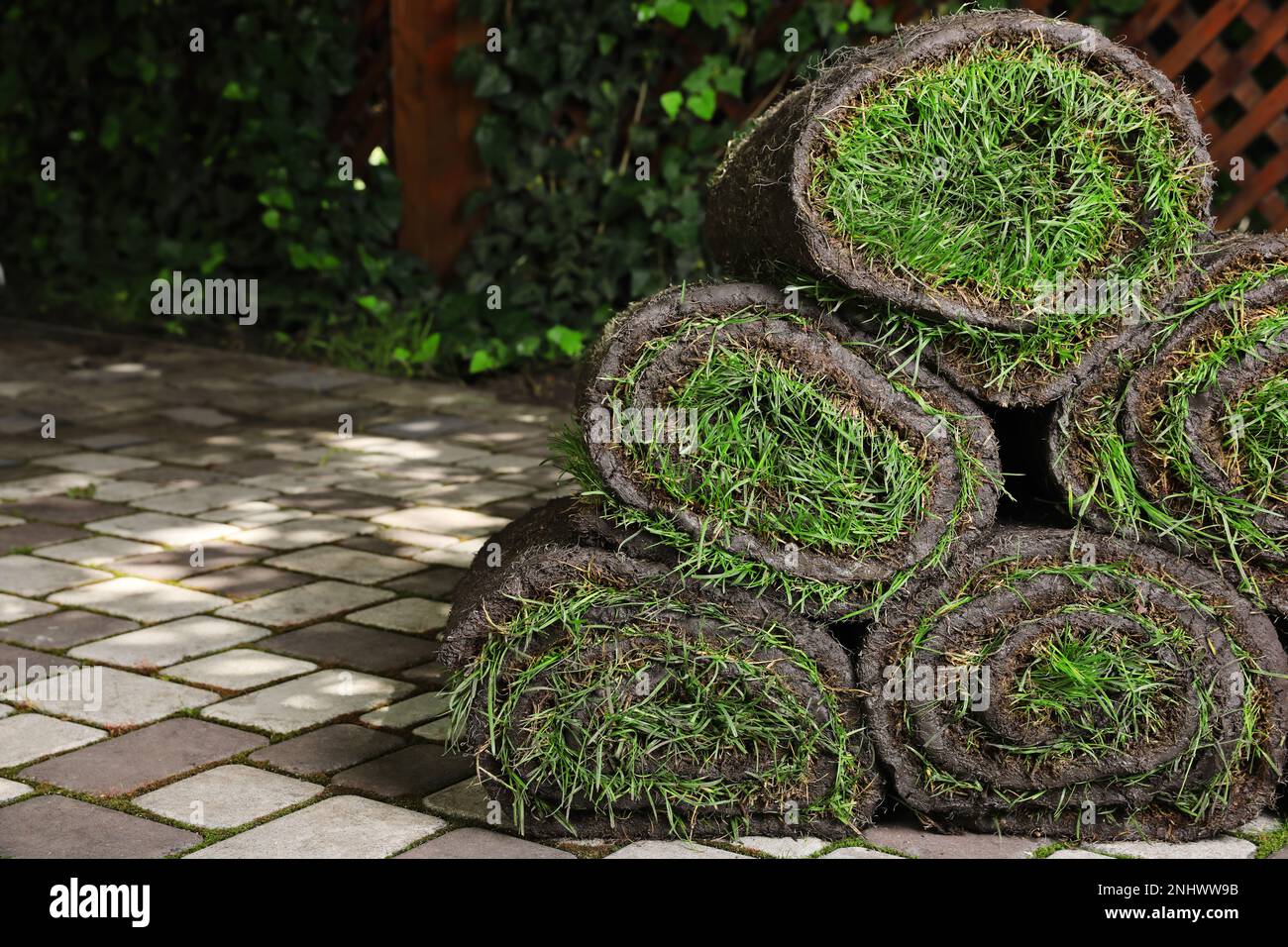 Rolls of sod with grass on backyard Stock Photo - Alamy
