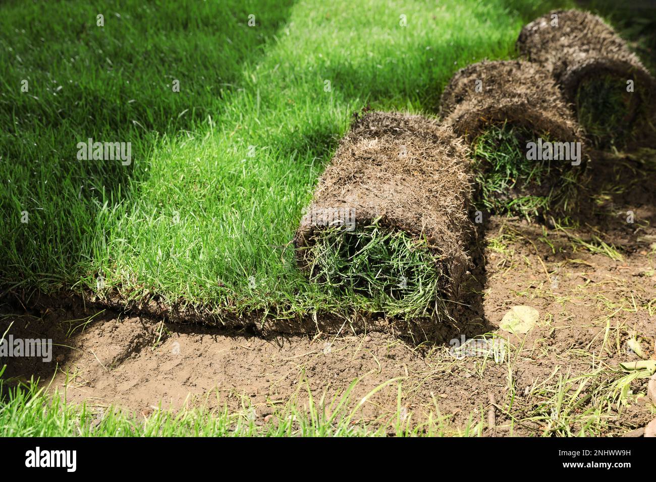 Rolled grass hi-res stock photography and images - Alamy
