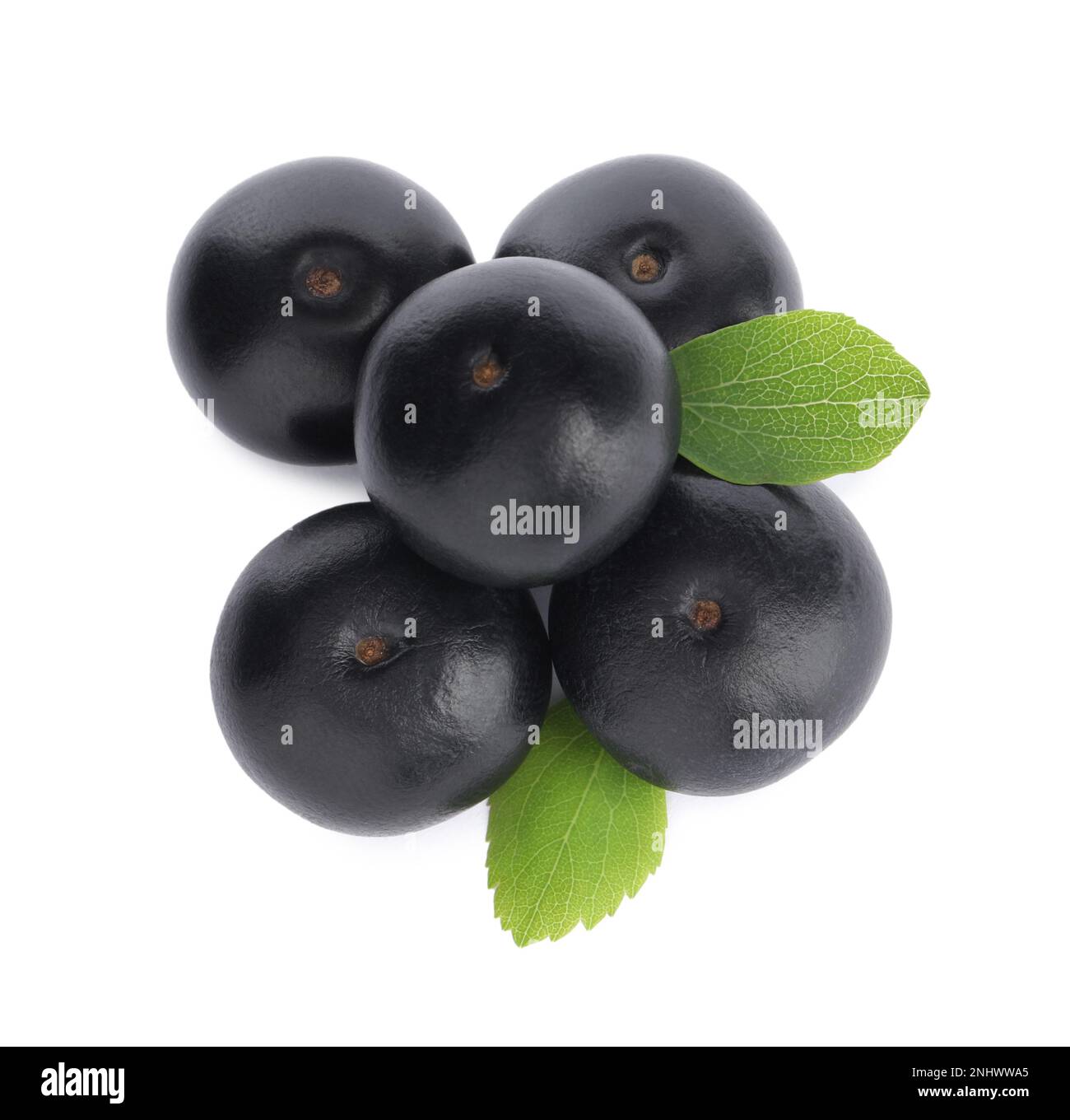 Pile of fresh ripe acai berries and green leaves on white background ...
