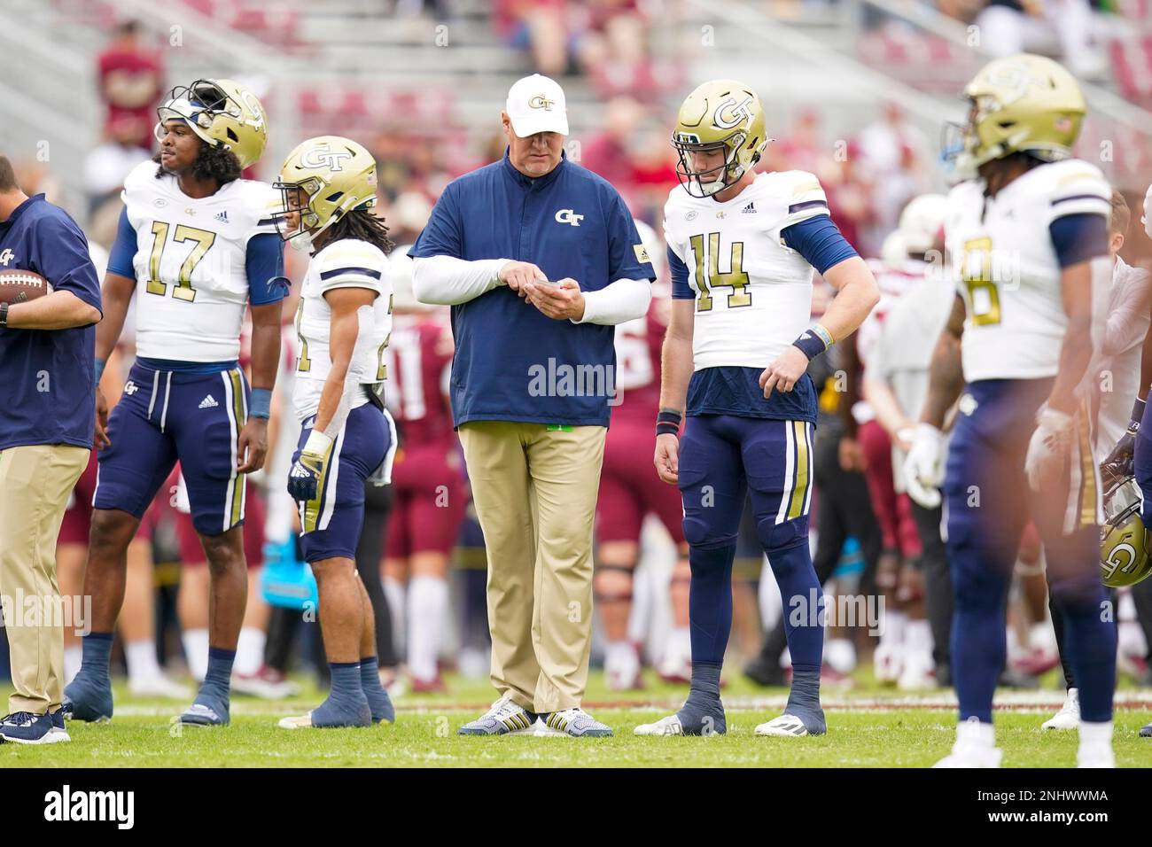 TALLAHASSEE, FL - OCTOBER 29: Georgia Tech Yellow Jackets quarterback ...