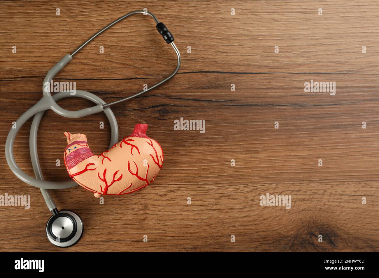 Human stomach model and stethoscope on wooden table, flat lay. Space ...