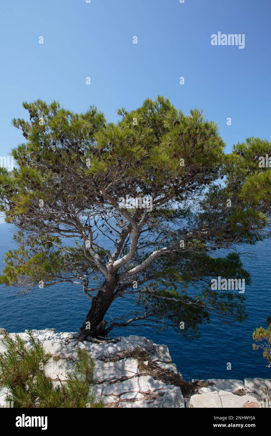 A serene summer seascape on the Croatian island of Pasman, featuring ...