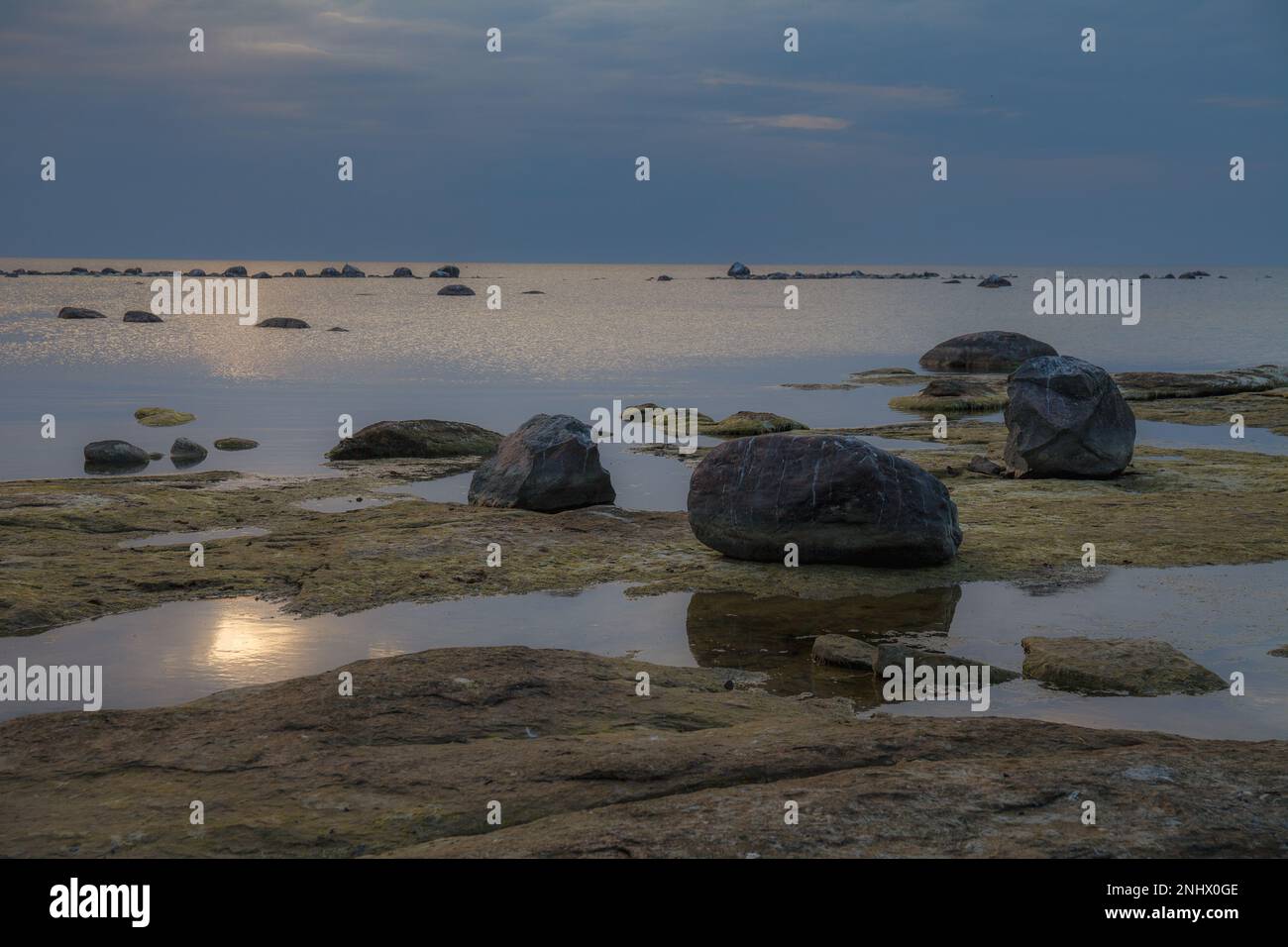 Beautiful sea shore view with with moss-covered rocks. Algae growing on ...