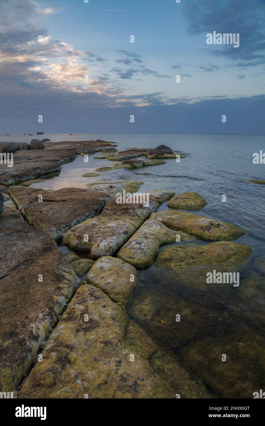 Beautiful sea shore view with with moss-covered rocks. Algae growing on ...