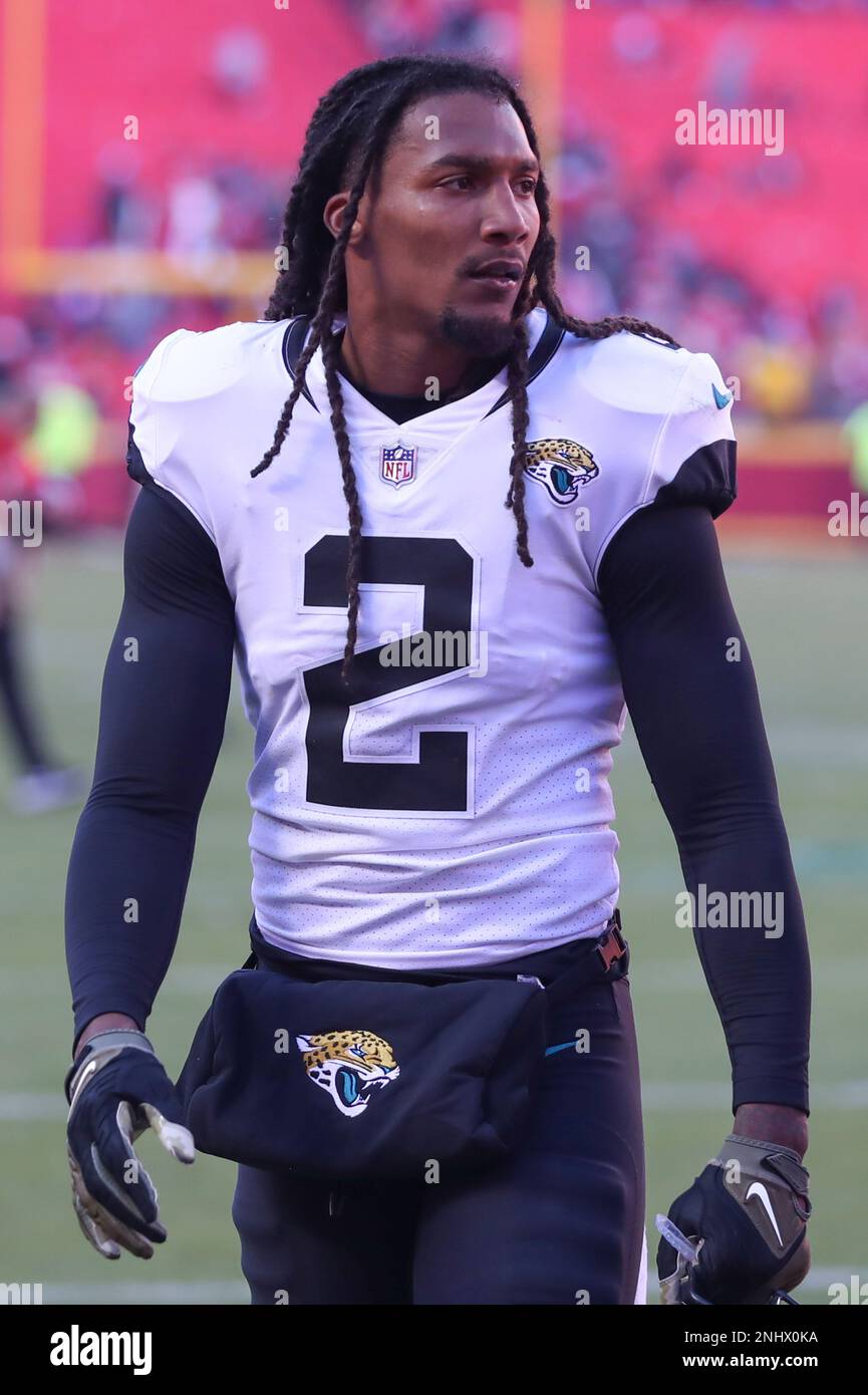 KANSAS CITY, MO - NOVEMBER 13: Jacksonville Jaguars safety Rayshawn ...