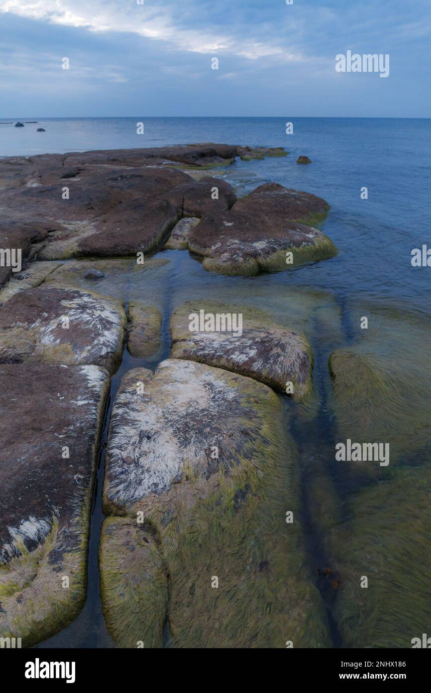 Beautiful sea shore view with with moss-covered rocks. Algae growing on ...