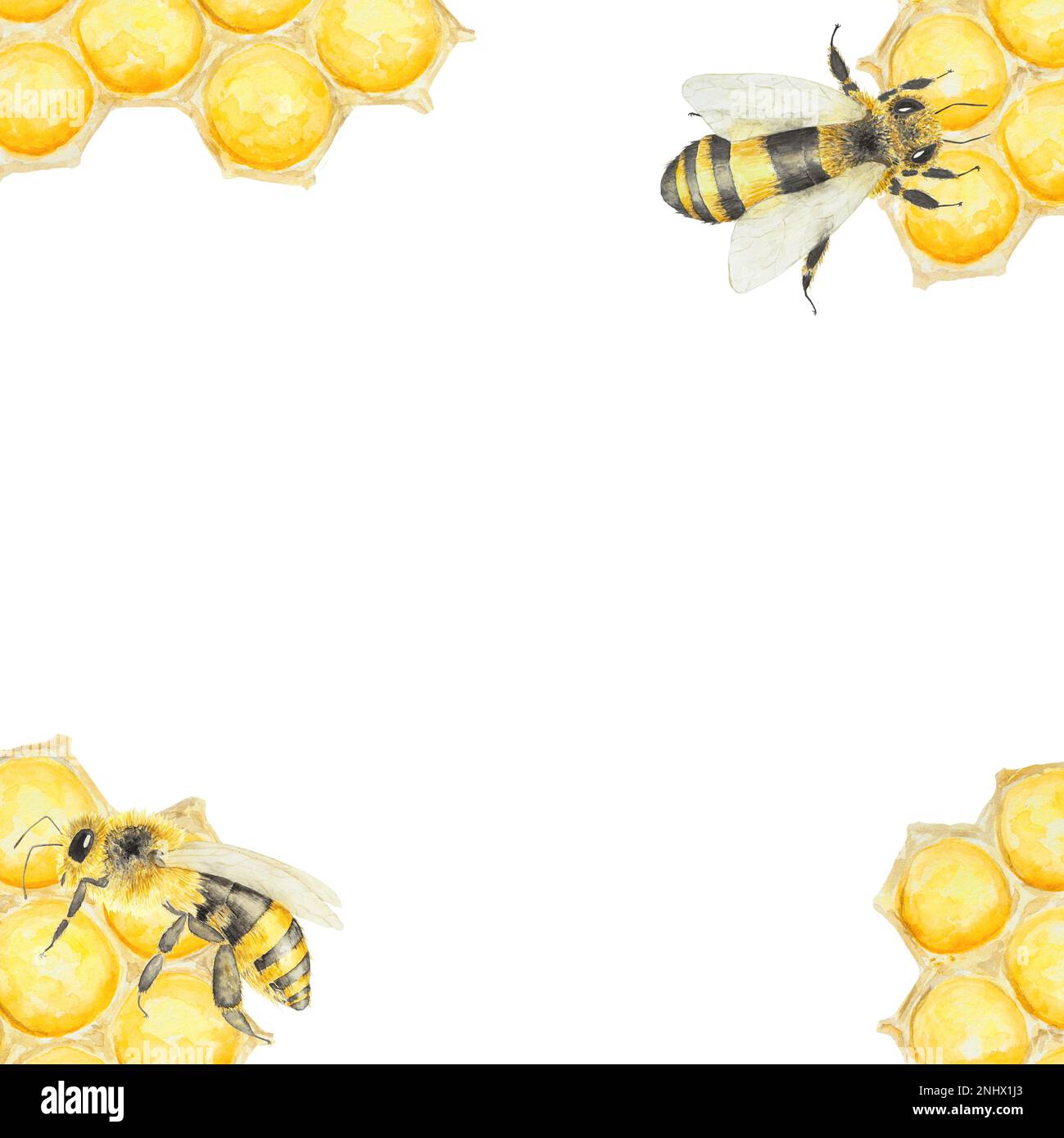 Watercolor illustration of honey and bees. Hand drawn background ...