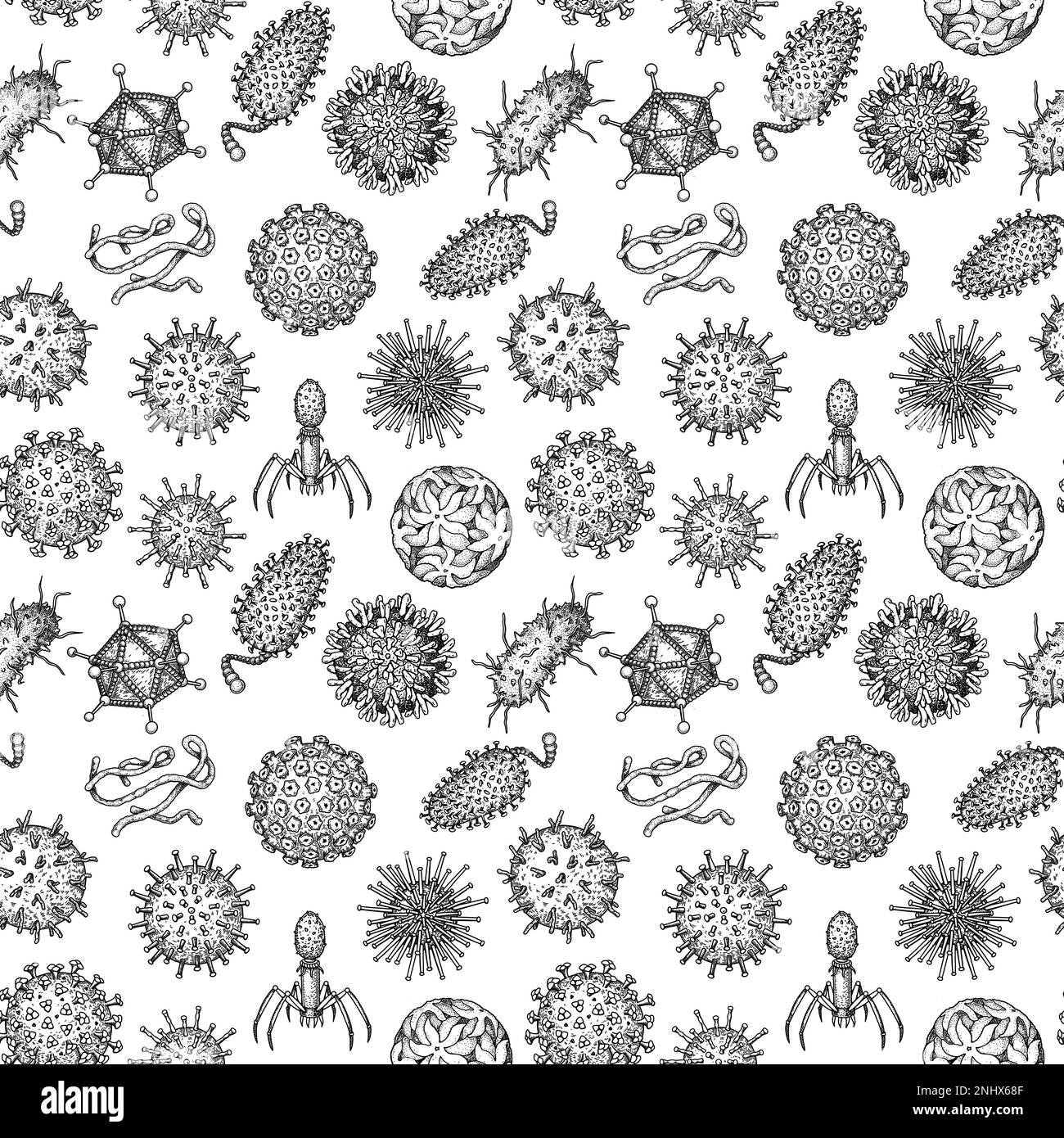 Viruses seamless patten. Scientific hand drawn vector illustration in ...