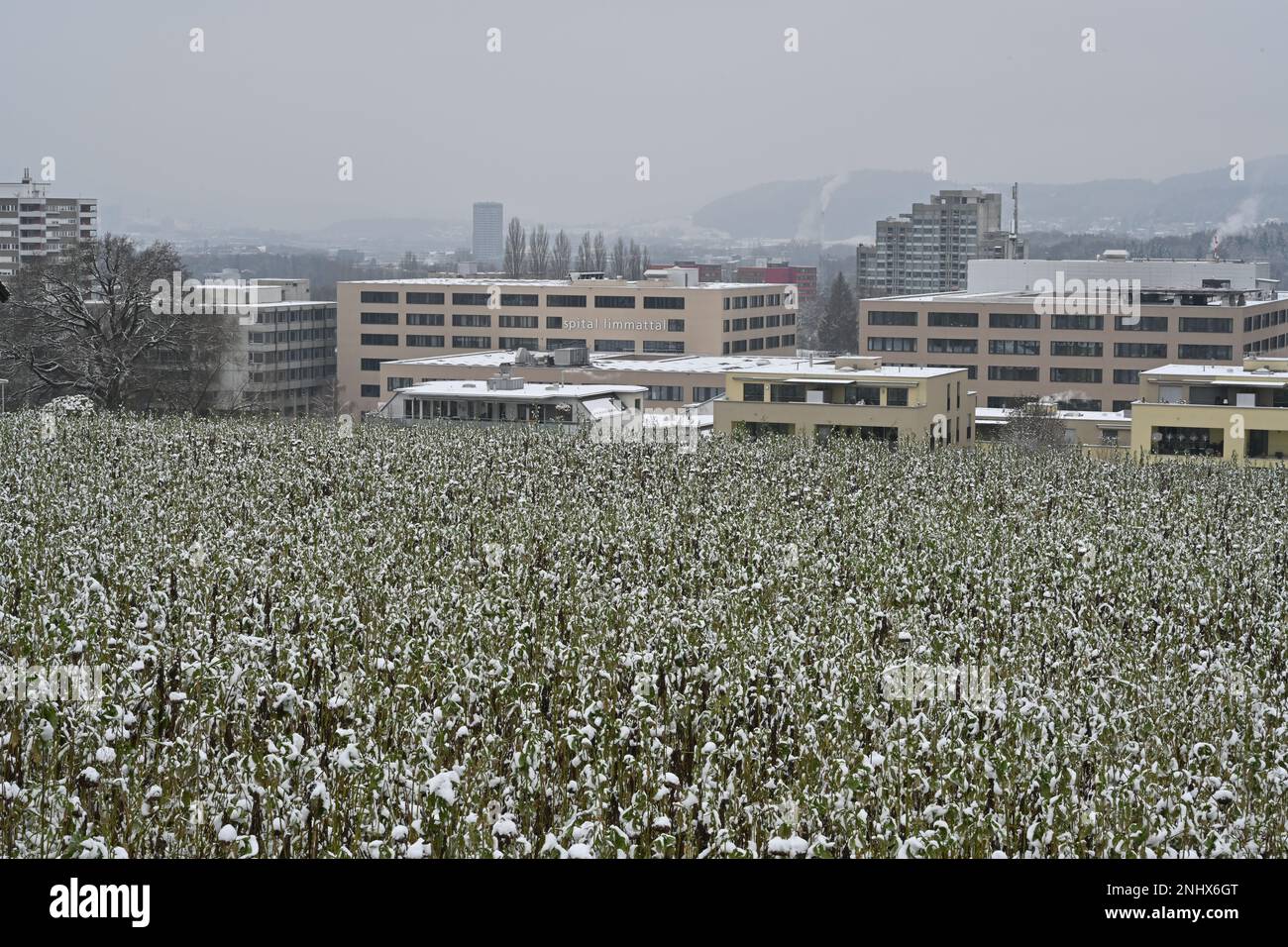 Spital zurich hi-res stock photography and images - Alamy