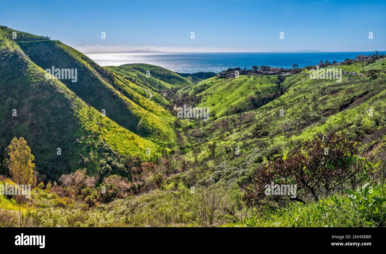 Catalina island scenics hi-res stock photography and images - Alamy