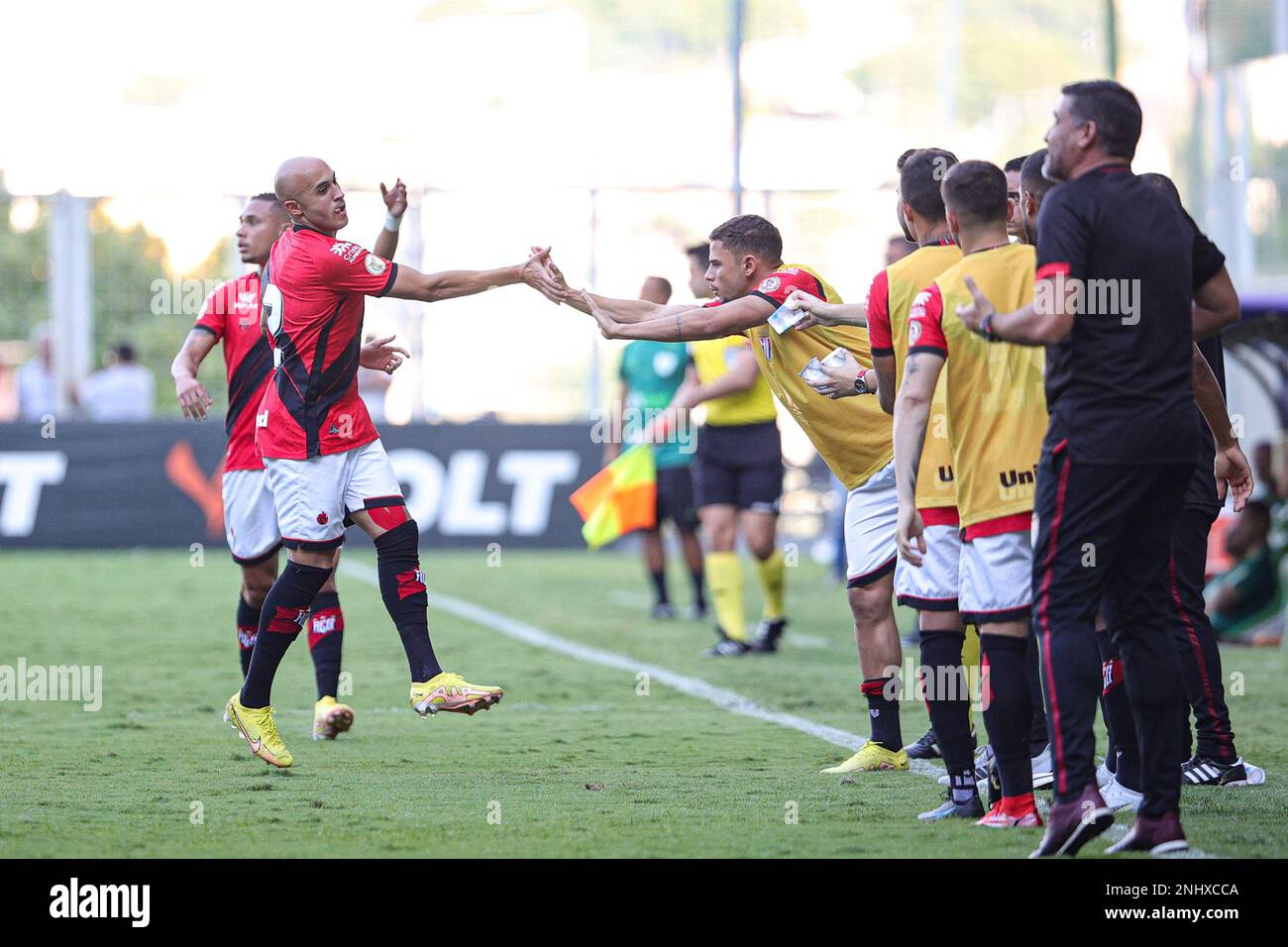 MG - Belo Horizonte - 11/13/2022 - BRASILEIRO A 2022, AMERICA-MG X ...