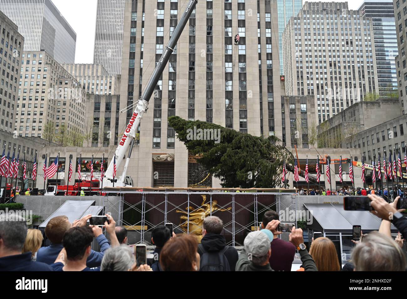 Photo by: NDZ/STAR MAX/IPx 2022 11/12/22 The Rockefeller Center ...