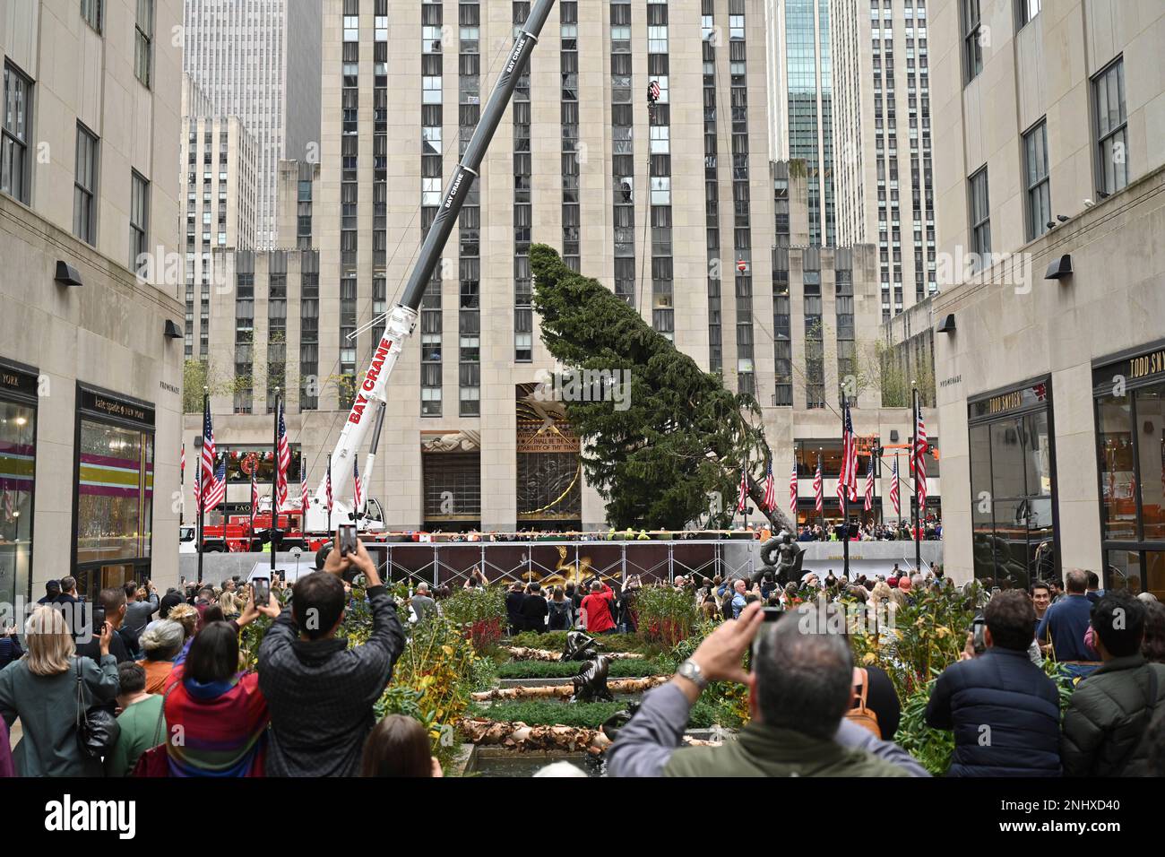 Photo by: NDZ/STAR MAX/IPx 2022 11/12/22 The Rockefeller Center ...