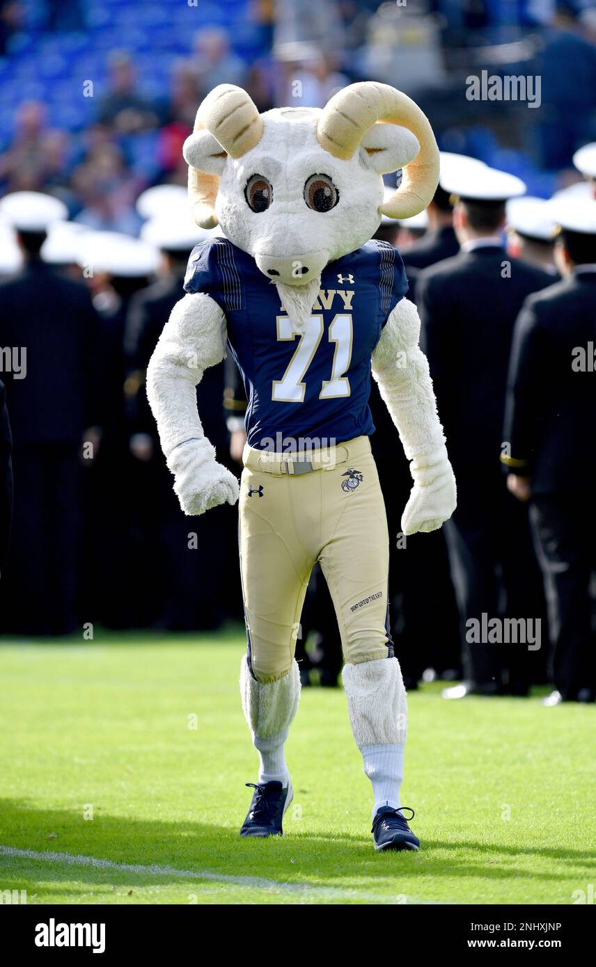BALTIMORE, MD - NOVEMBER 12: Navy's mascot Bill the Goat walks around ...