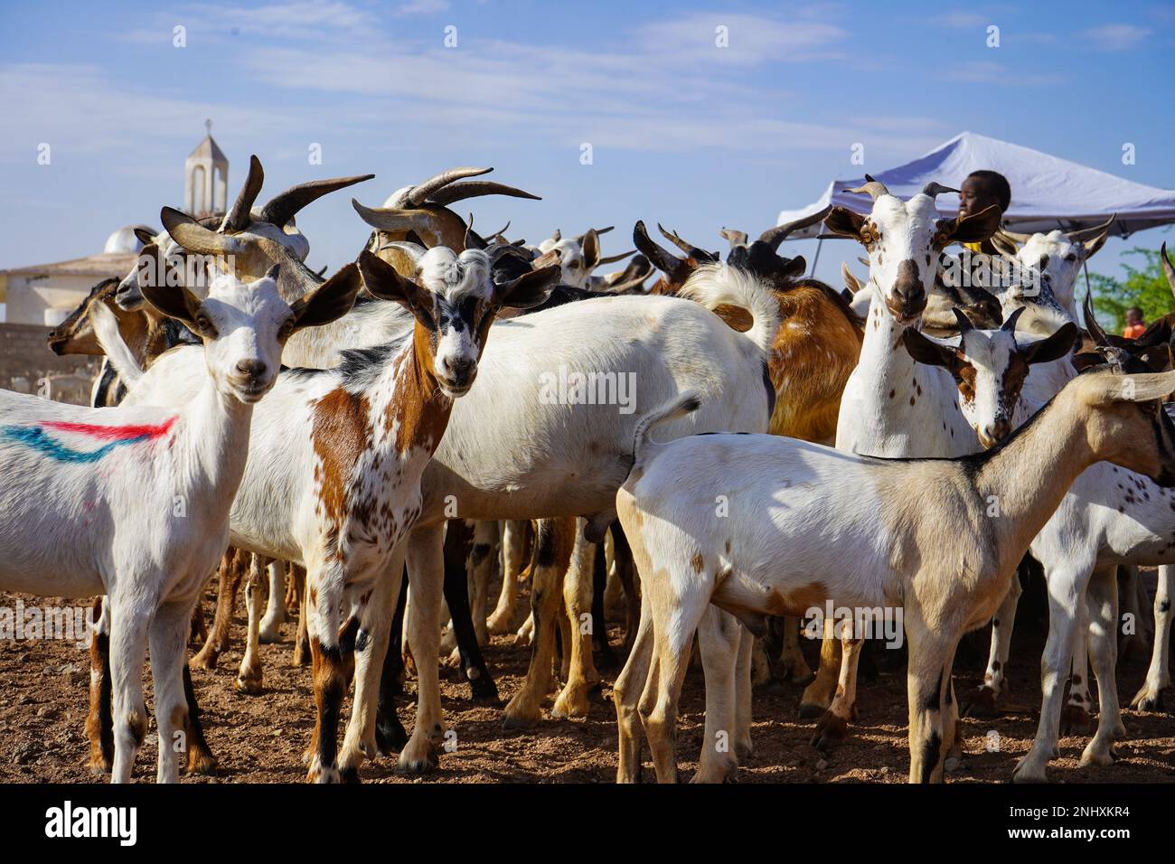 Chabelly village hi-res stock photography and images - Alamy