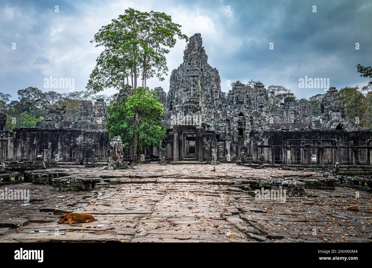 Two stray dogs stand near an entrance to the ruins of the famed Bayon ...