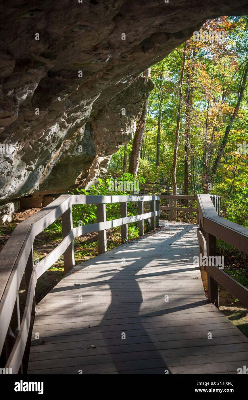 Russell Cave National Monument's boardwalk trail in Fall Stock Photo ...