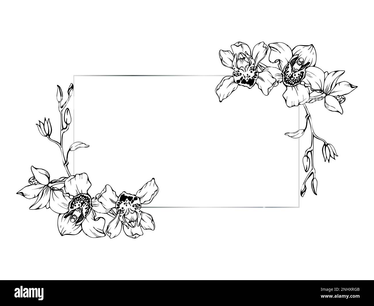 Hand drawn vector ink orchid flowers and branches, monochrome, detailed ...