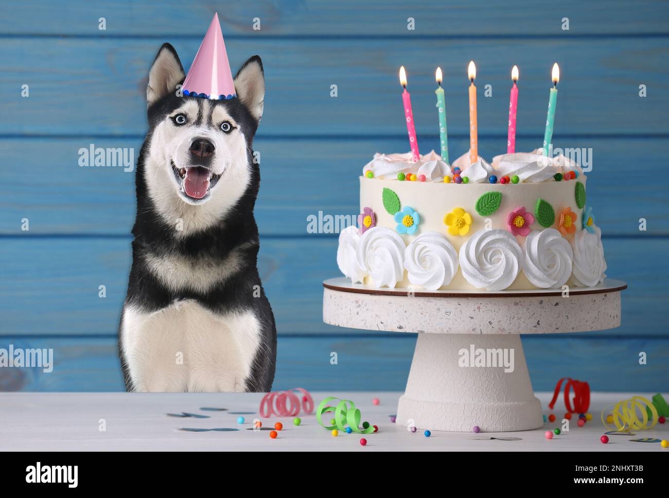 Happy Birthday Husky Puppy