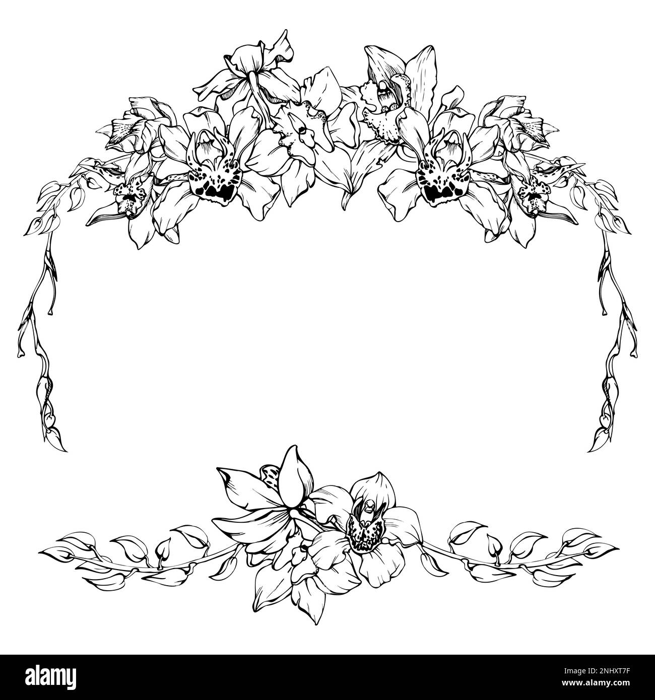 Hand drawn vector ink orchid flowers and branches, monochrome, detailed ...
