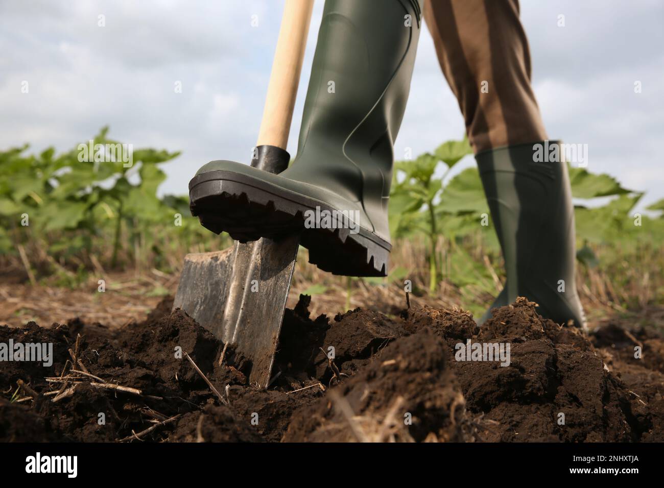 Worker digging soil with shovel outdoors, closeup Stock Photo - Alamy