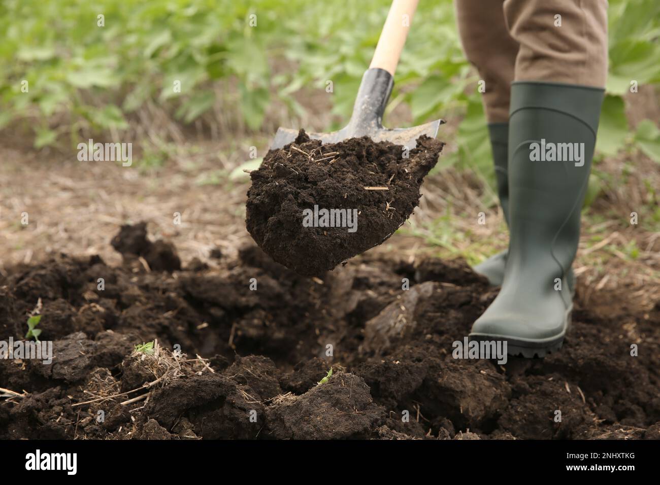 Worker digging soil with shovel outdoors, closeup Stock Photo - Alamy