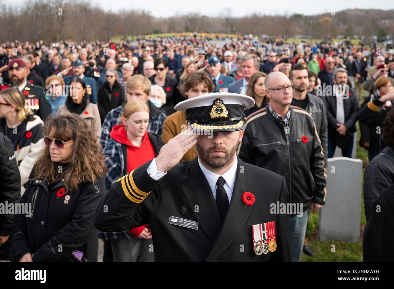 LCdr Andrew LaBerge salutes during a Remembrance Day celebration at the ...