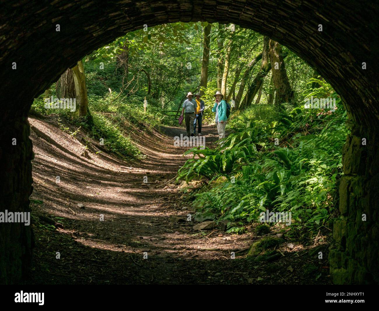 Walkers on woodland path approach single arch bridge tunnel in Ticknall ...