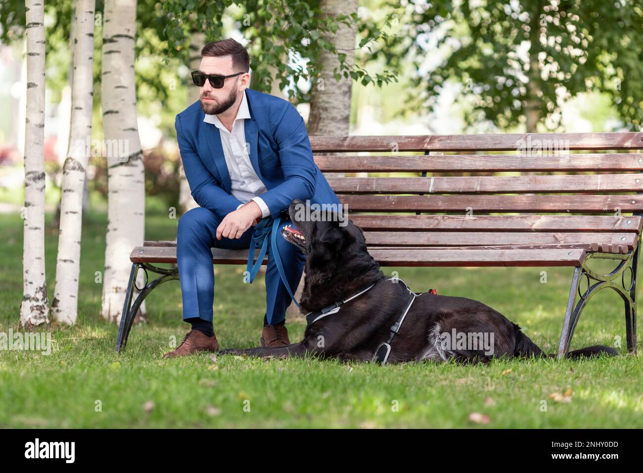 Portrait business owner businessman using hi-res stock photography and ...
