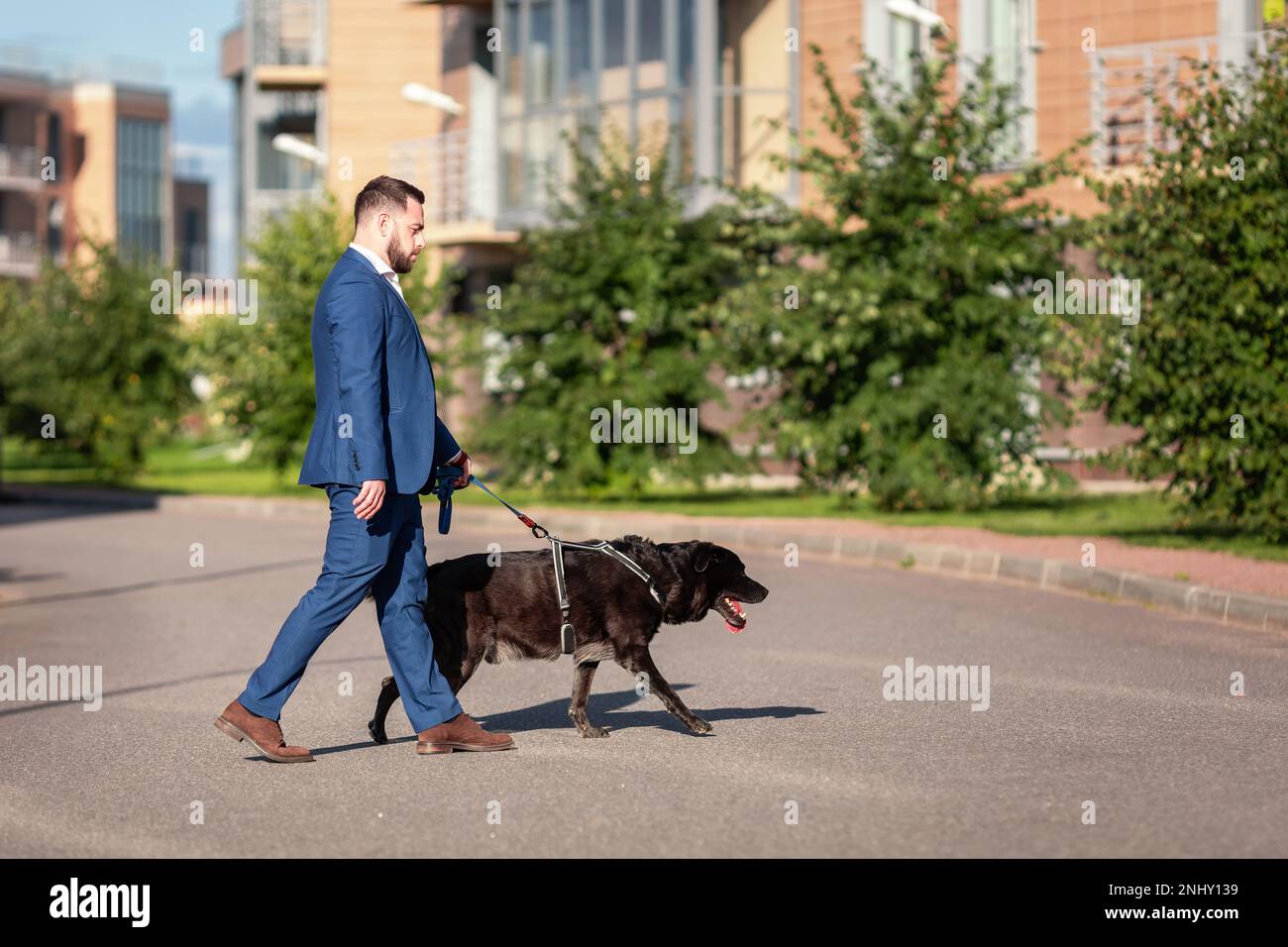 A businessman walking his dog in the urban exterior. Young handsome man ...