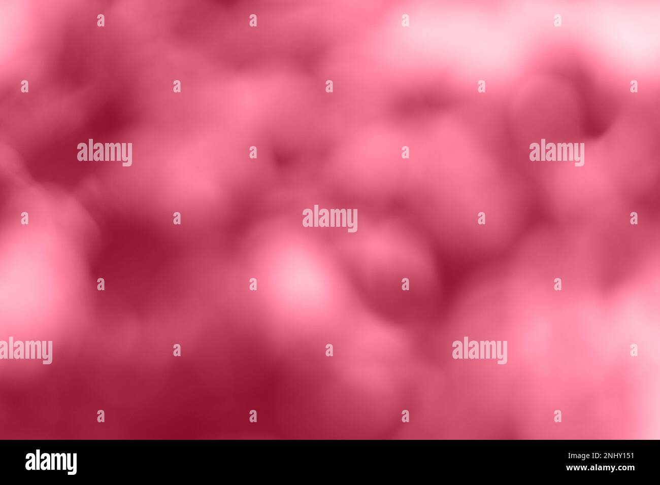 blurred background toned by Viva Magenta Color. Out of focus video ...