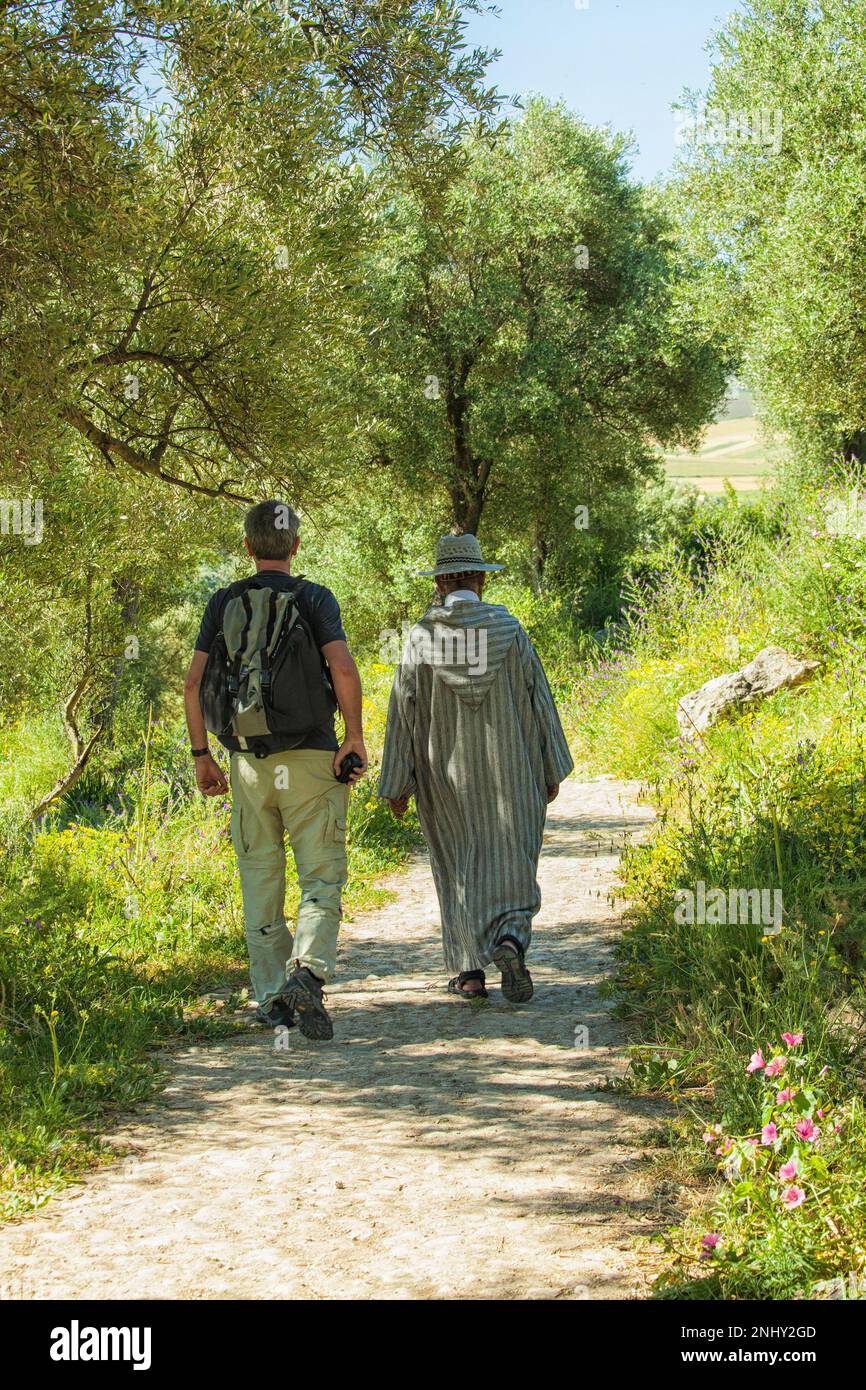 Male tourist with traditional guide walking through the ancient Roman ...