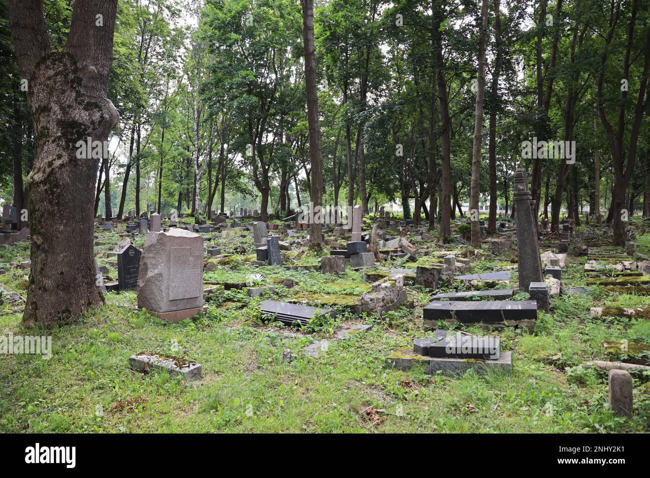 "Žaliakalnio žydų senosios kapinės" is a Jewish cemetery located in the ...