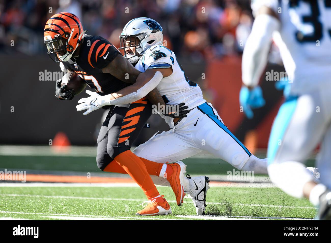 CINCINNATI, OH - NOVEMBER 06: Carolina Panthers Tight End Tommy Tremble ...