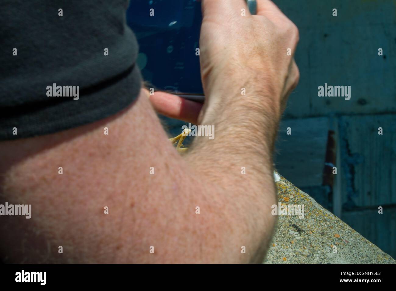 John Day Lock & Dam is located 216 miles upriver from the mouth of the ...