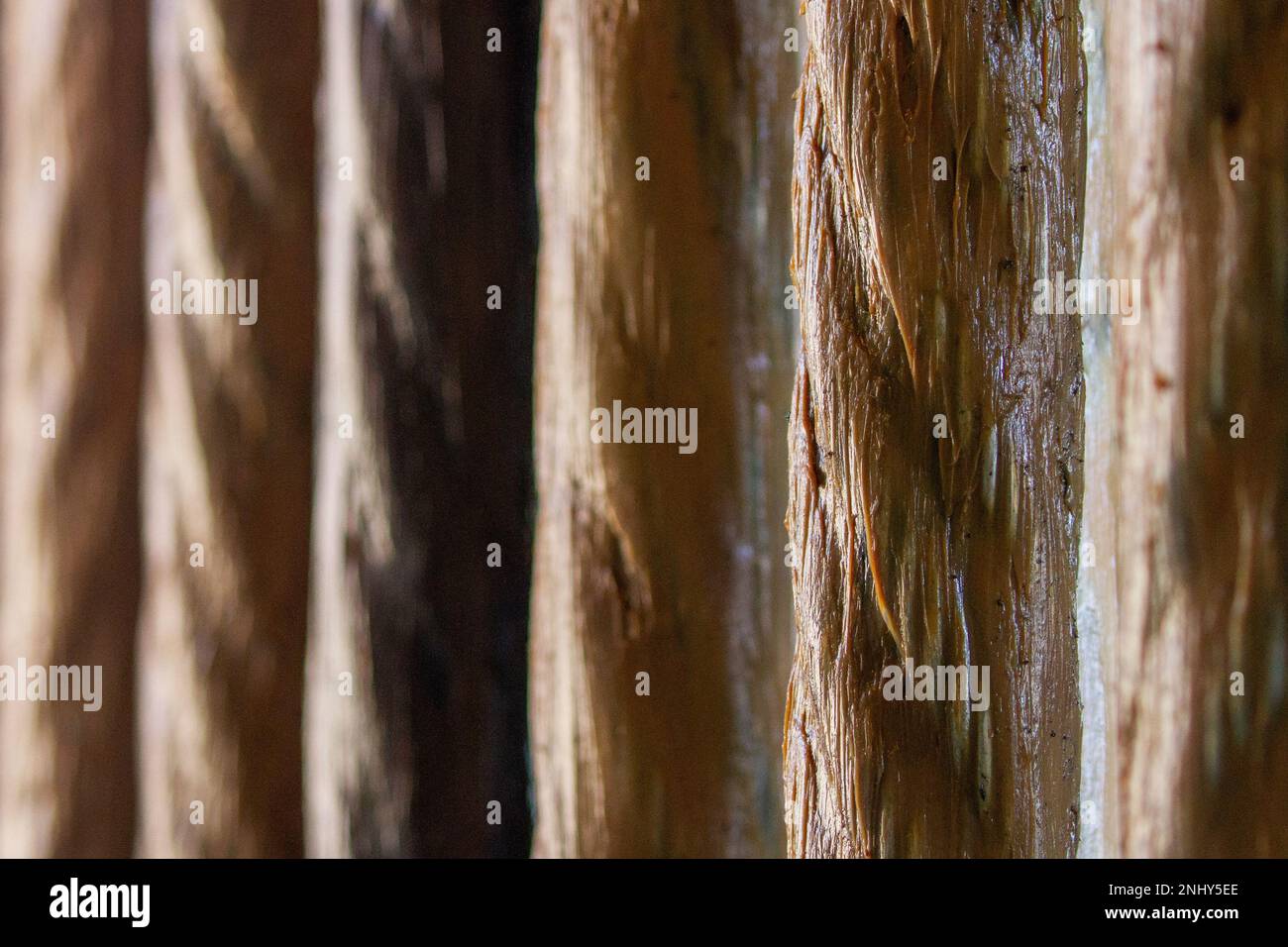 John Day Lock & Dam is located 216 miles upriver from the mouth of the ...