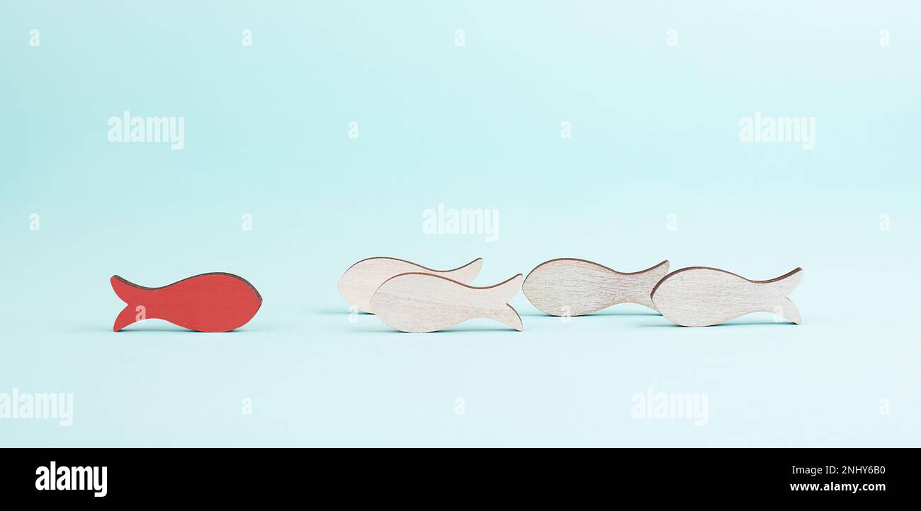 Red fish is the leader of the group, leadership and teamwork concept ...