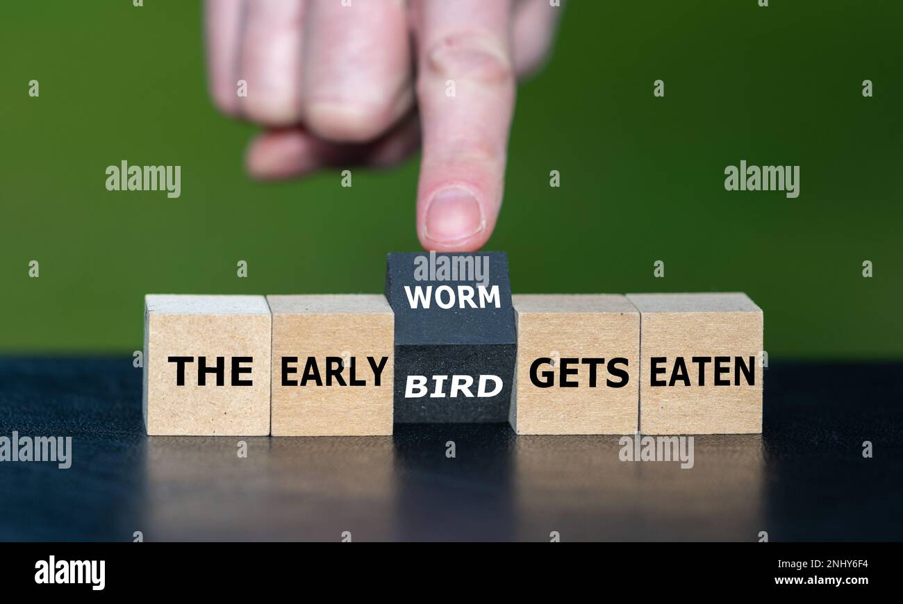 Early worm gets eaten hi-res stock photography and images - Alamy