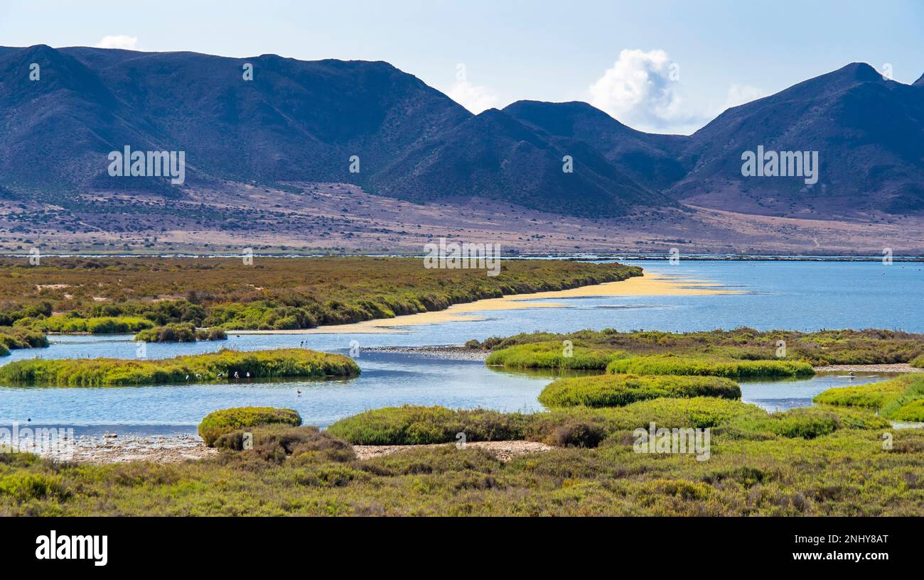 Las Salinas Ornithological Viewpoint, Salinas de Cabo de Gata, Wetland ...