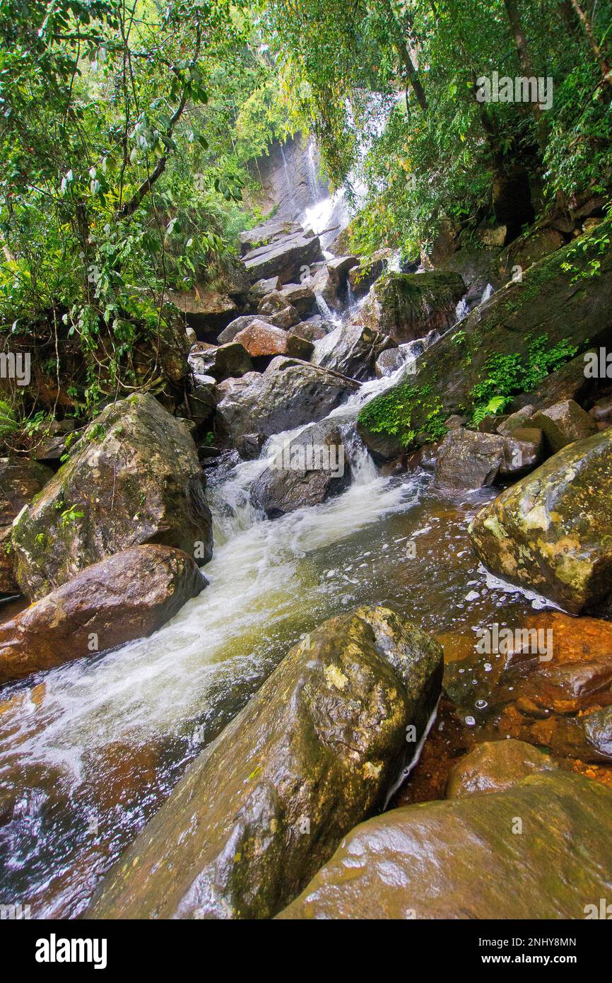 Waterfall, Sinharaja National Park Rain Forest, Sinharaja Forest ...
