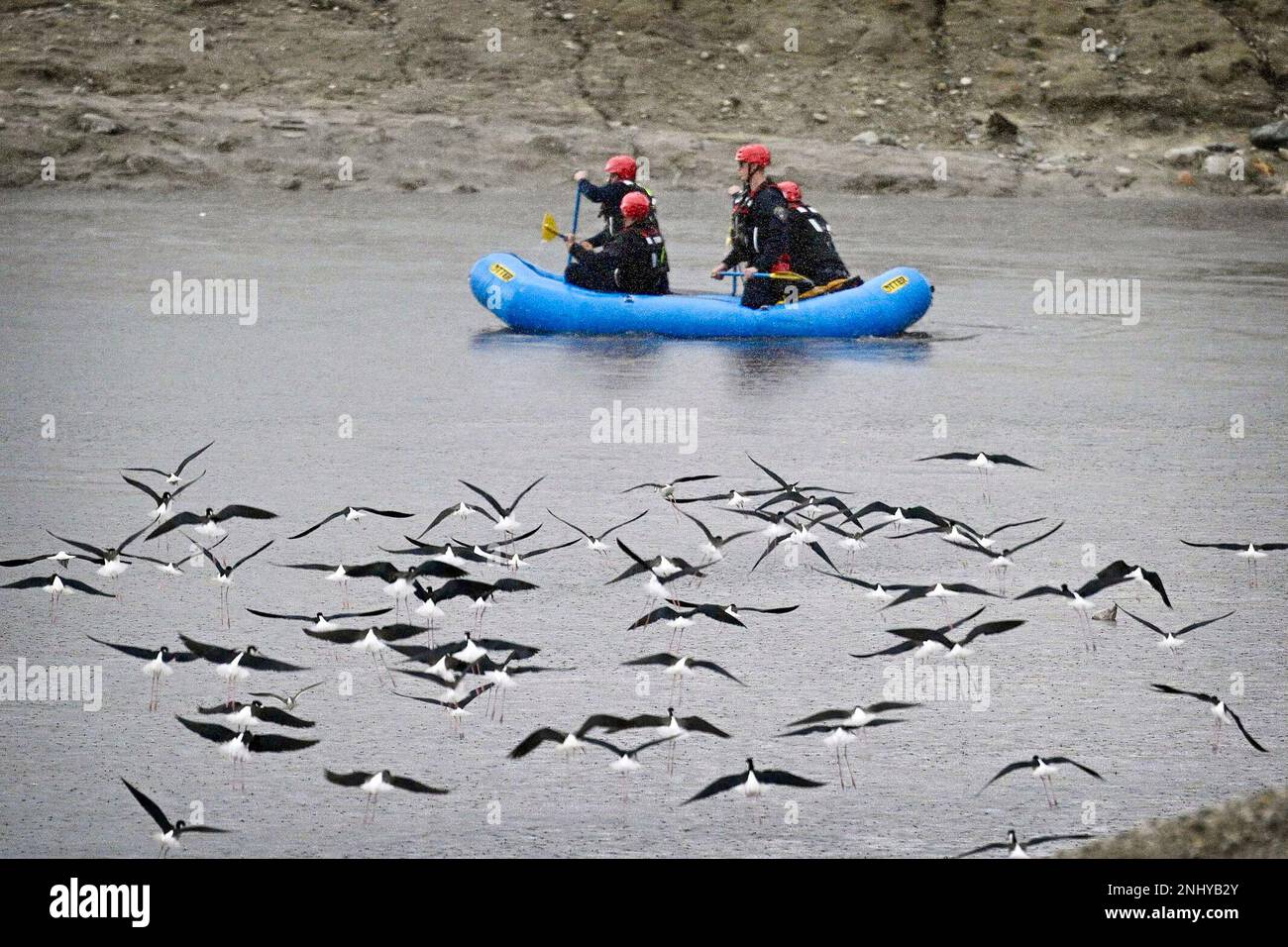 A swift water rescue team from the Ontario Fire Dept. ride in a raft on ...