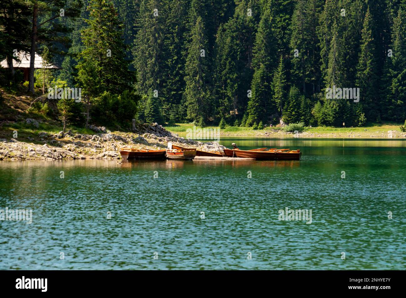 Montenegro. Durmitor National Park. Black lake surrounded by green ...
