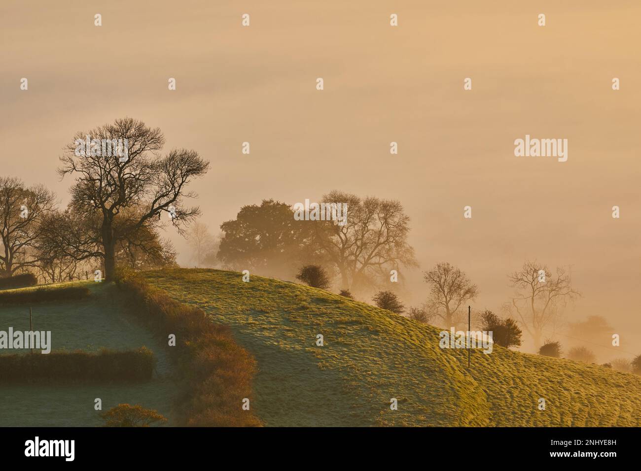 The mists of Avalon rolling through the landscape from Glastonbury Tor ...