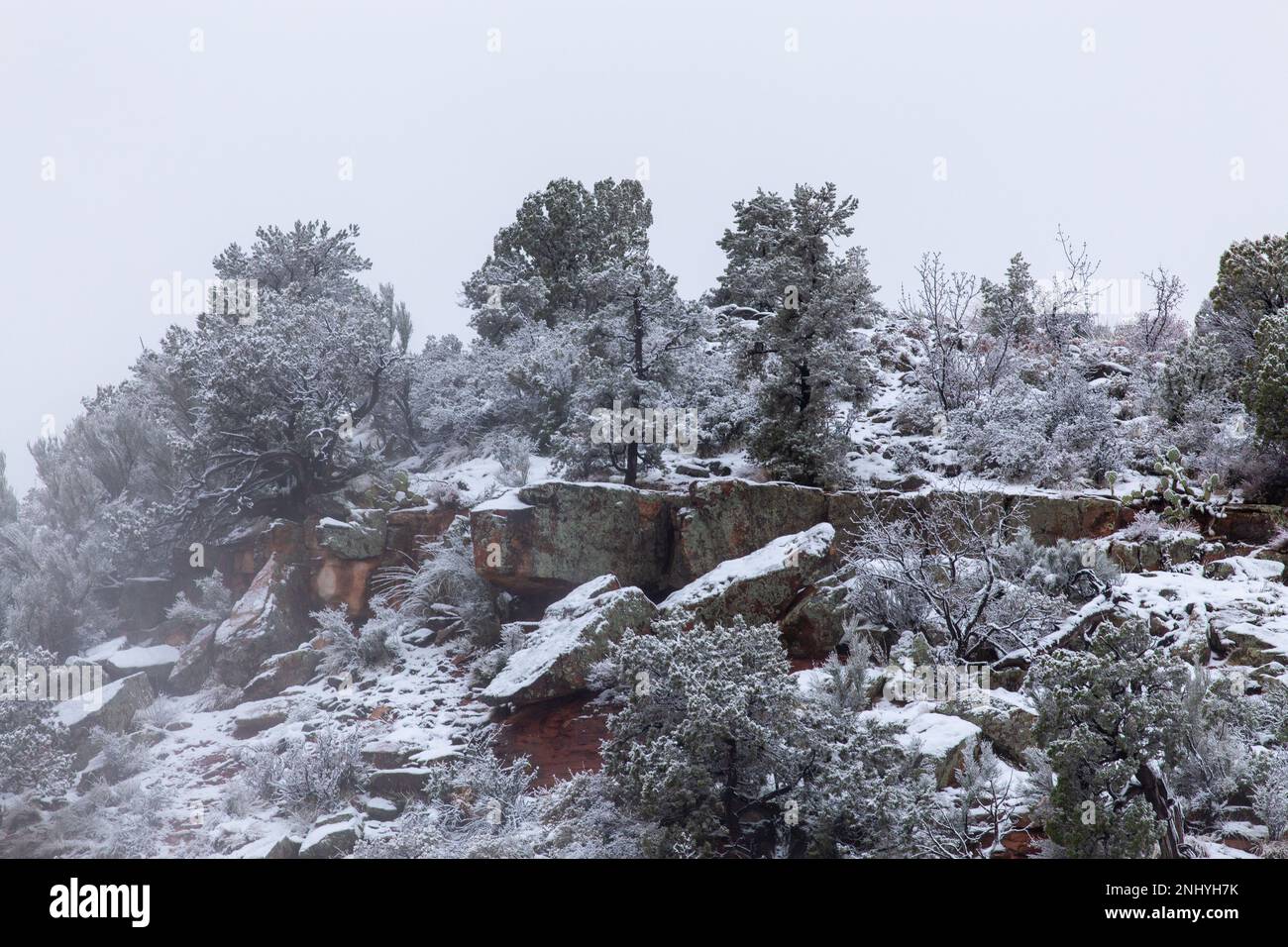 Snow in Sedona Stock Photo - Alamy